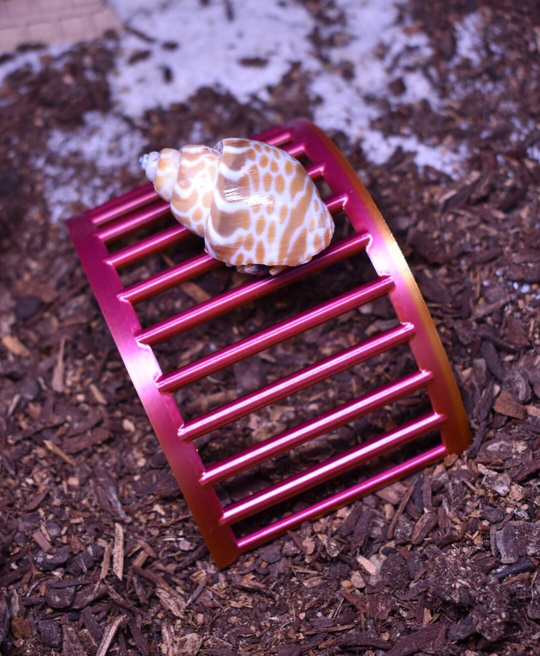 Hermit Crab Climbing Bridge. Playground Bridge for Hermit Crab to ...