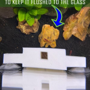 Snail Trap for Aquarium, Pest Snails Catcher Overnight, Leave Trap in ...