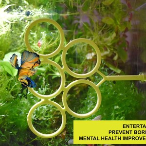 Olympic Ring for Betta Fish Trainning. 3D Printed Betta Exercise Loops ...