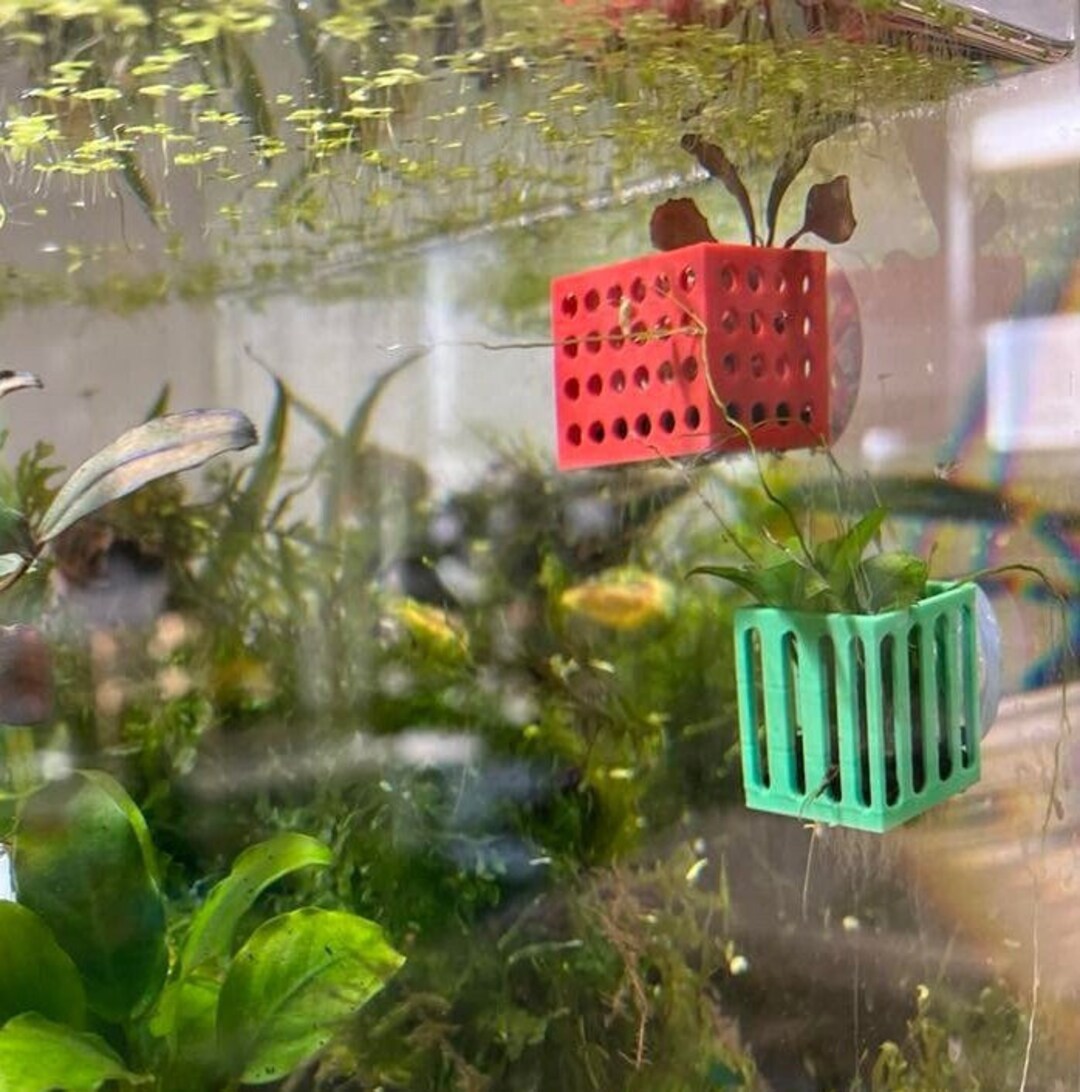 Mini Plant Pot for Aquarium Fish Tank. Aquarium Plant Pot for - Etsy