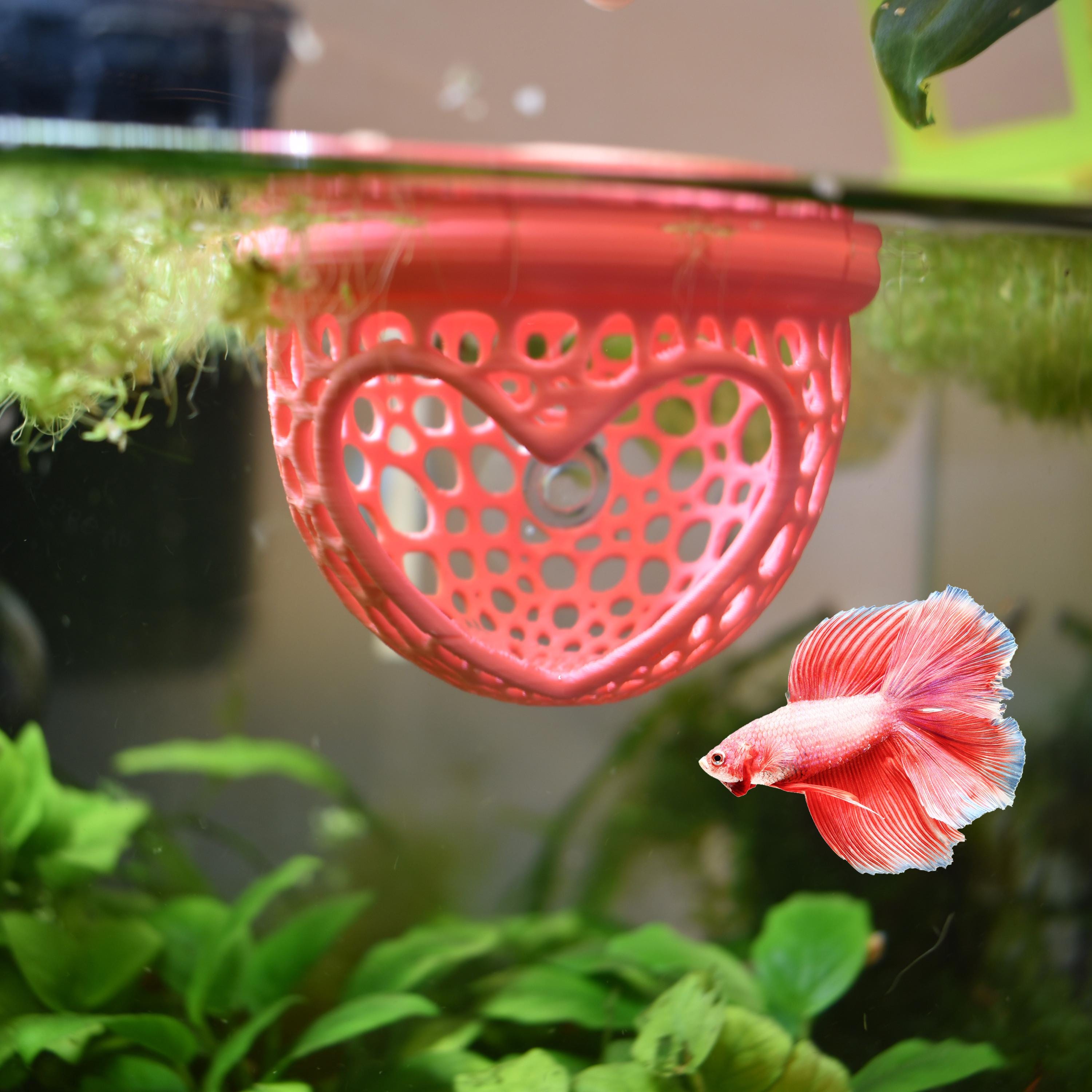 Aquarium Heart Floating Betta Fish Training. Floating Betta Hide Out ...