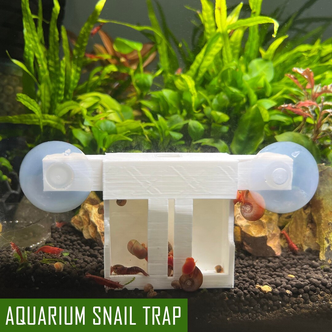 Snail Trap for Aquarium, Pest Snails Catcher Overnight, Leave Trap in ...