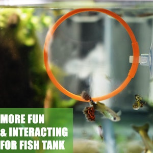 Olympic Ring for Betta Fish Trainning. 3D Printed Betta Excercise Loop ...