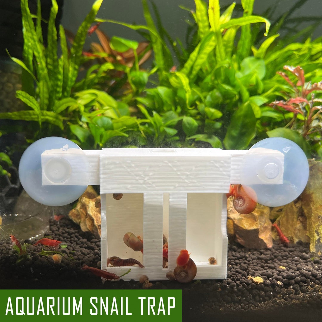 Snail Trap for Aquarium, Pest Snails Catcher Overnight, Leave Trap in ...