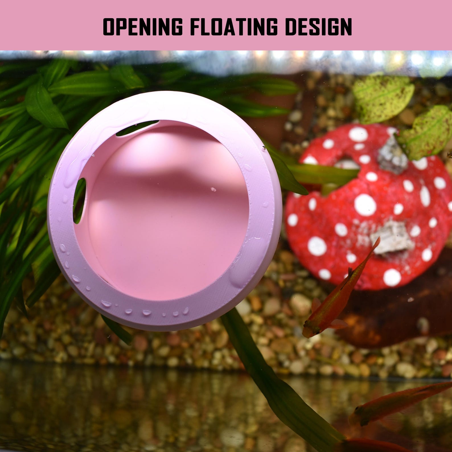 Aquarium Floating Betta Fish Feeder. Floating Feeder for Small Fish ...