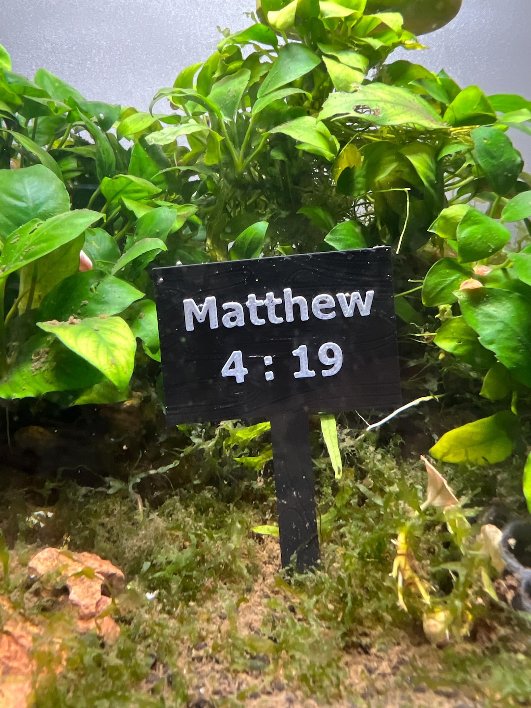 Custom Fishing Sign for Aquarium Tank Decor. Custom Fun Sign for Fish ...