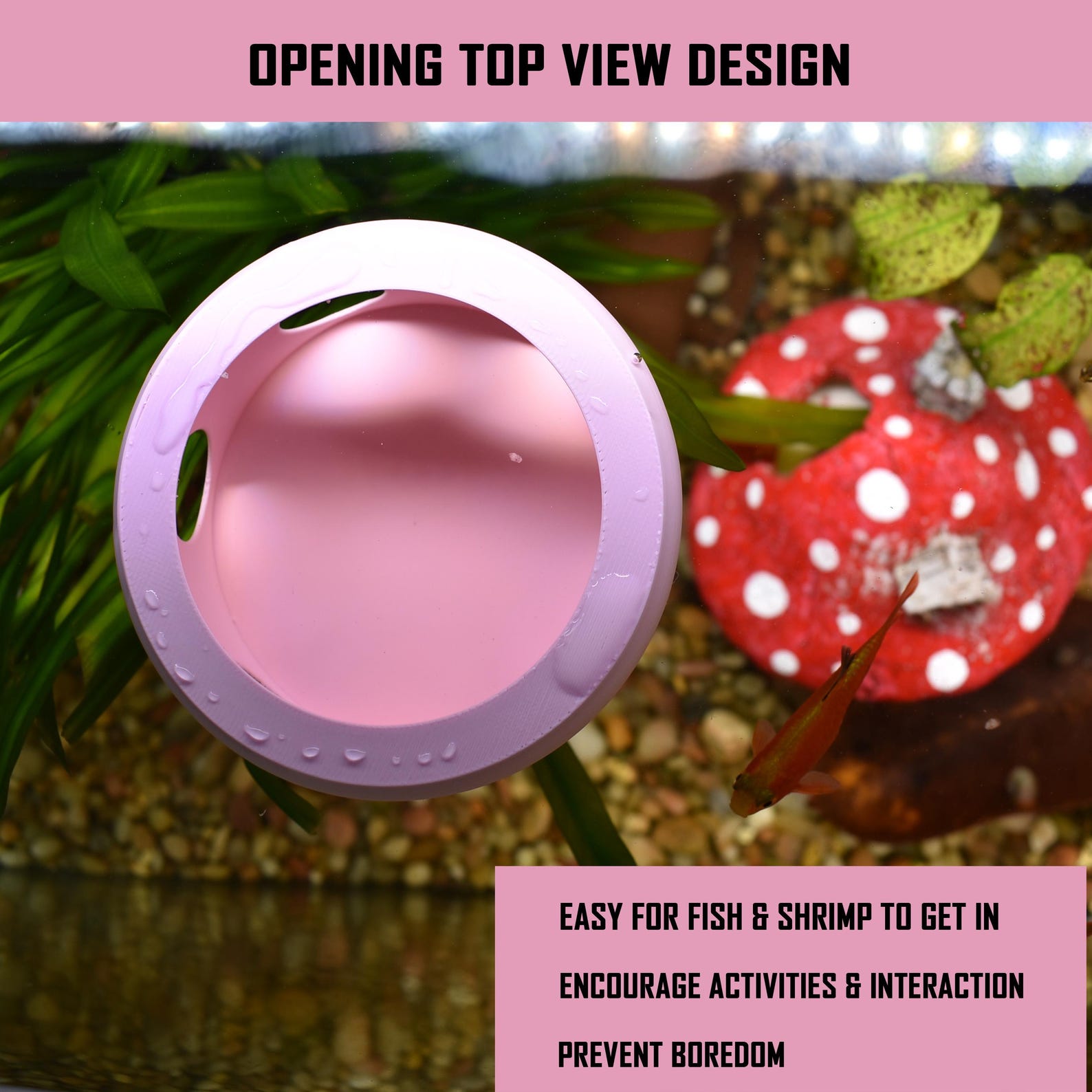Aquarium Floating Betta Fish Feeder. Floating Feeder for Small Fish ...