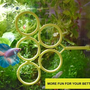 Olympic Ring for Betta Fish Trainning. 3D Printed Betta Exercise Loops ...
