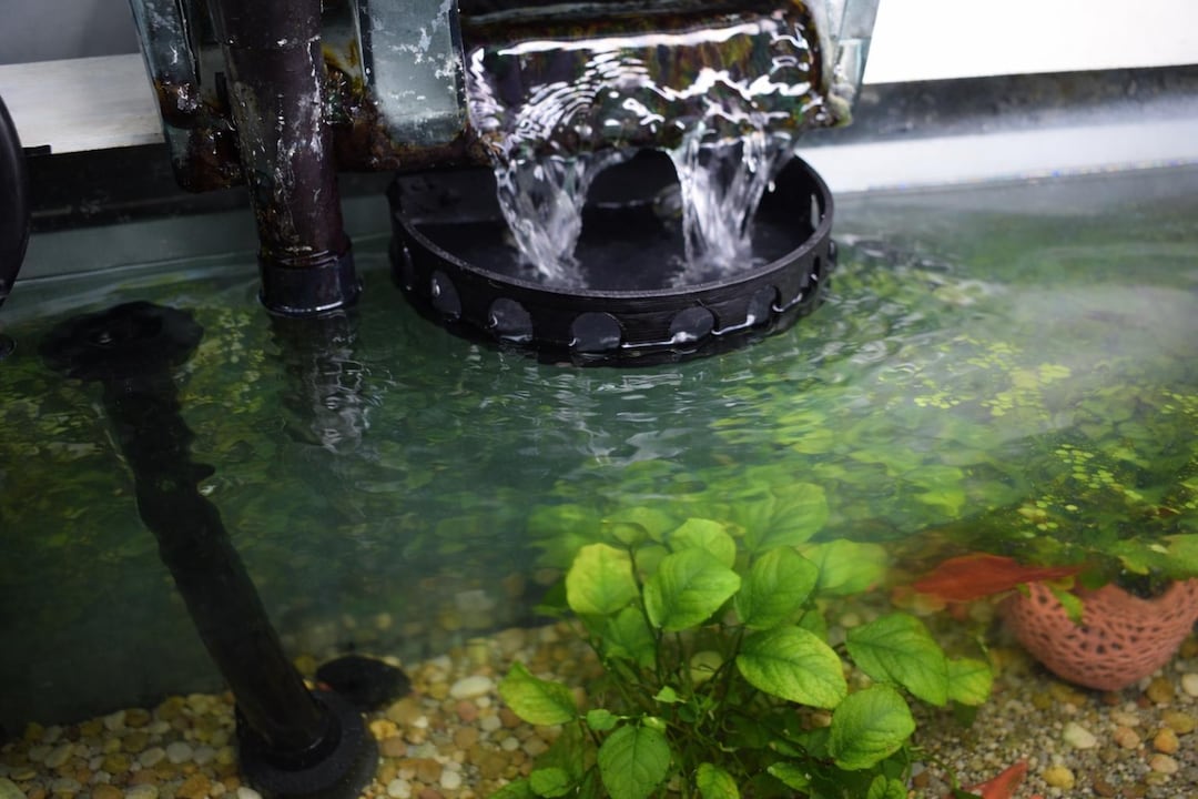 Universal Aquarium Filter Baffle for ALL HOB Filter Systems. Slow Down ...