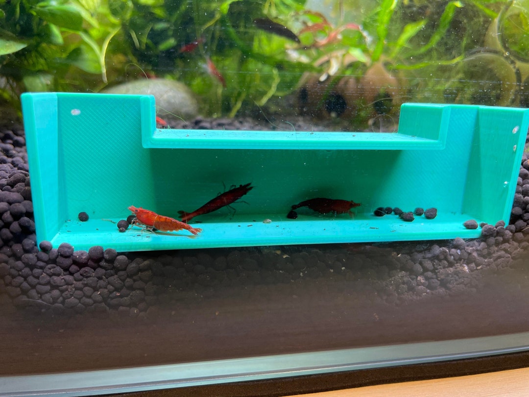 3D Printed Shrimp Tunnel. Shrimp Home Hide Out Aquarium - Etsy