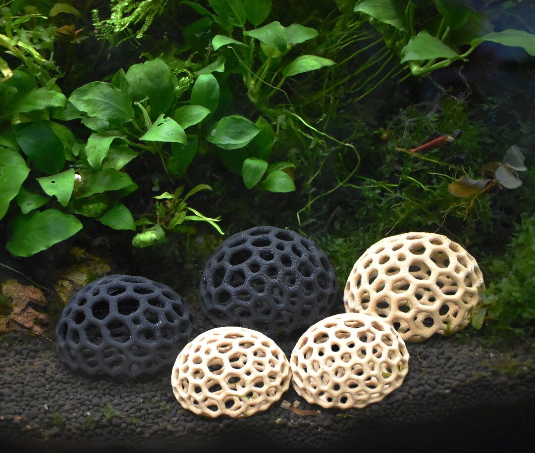 Aquarium Shrimp Dome Decor. Shrimp Home Hide Out, Moss Holder, Aquarium ...