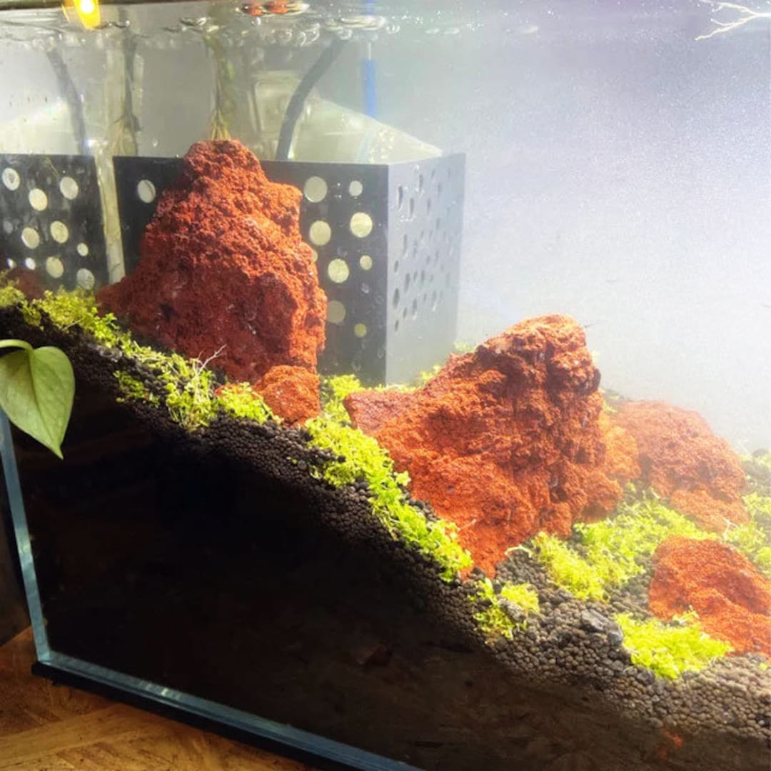 Sponge Filter Cover for Aquarium Fish Tank. Corner Filter Protector. 3D ...