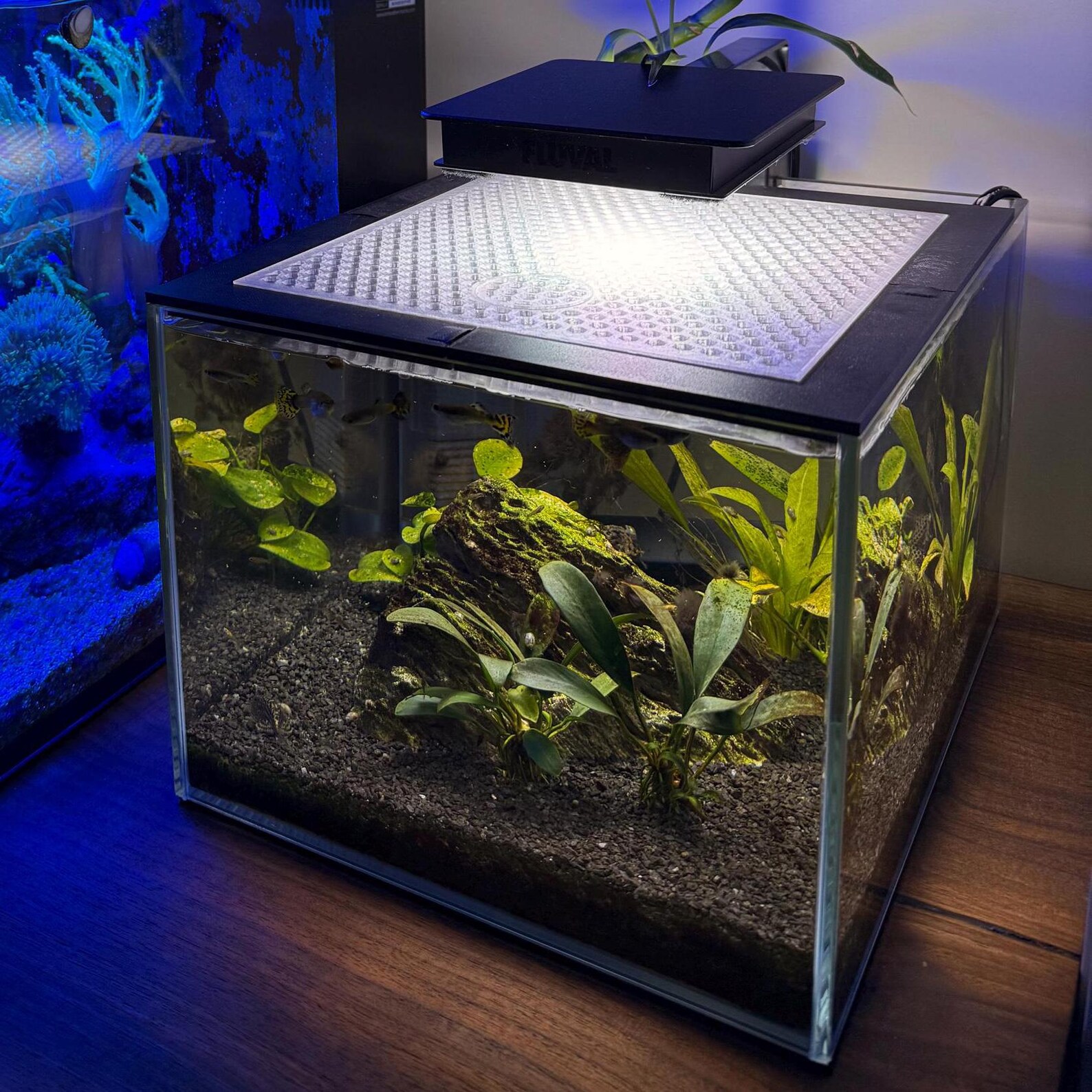 Custom Nano Fish Tank Lid – Full-service Design & 3D Printing. Unique ...