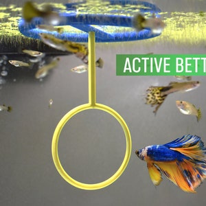 Active Betta Training Floating Ring. 3D Printed Betta Excercise Loops ...