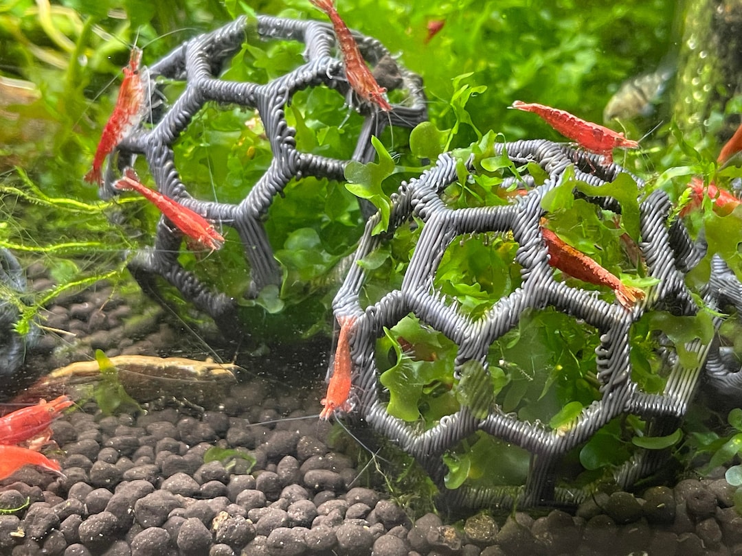 Aquarium Moss Holder, Fish Tank Decor, Perfect for Shrimp and Betta ...