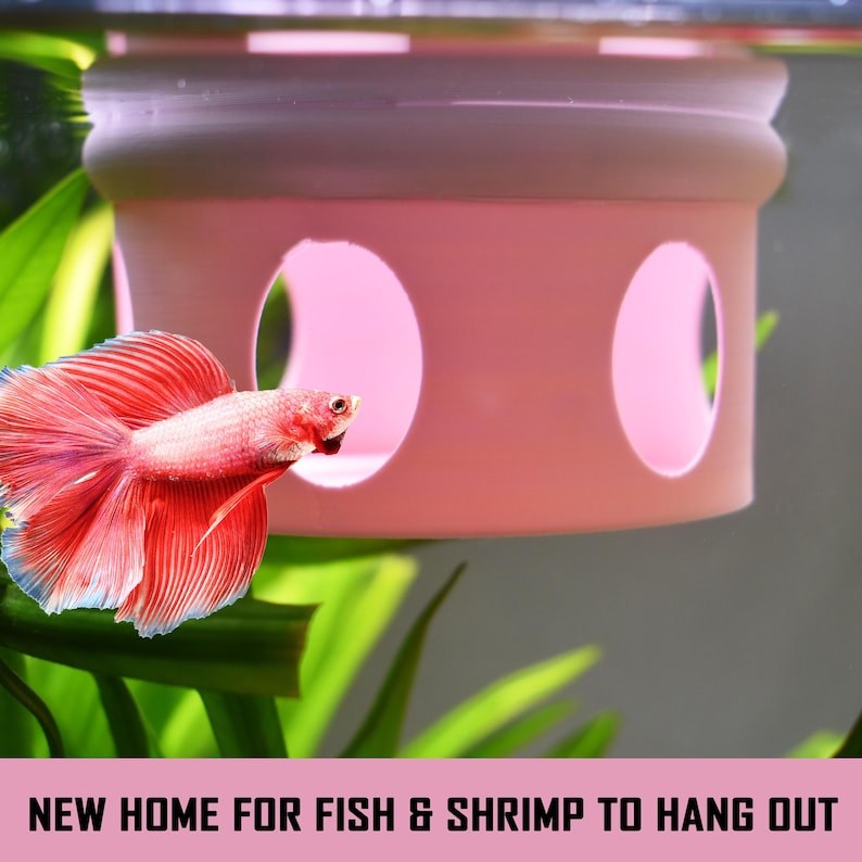 Aquarium Floating Betta Fish Feeder. Floating Feeder for Small Fish ...