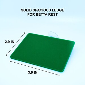 Large Rest Ledge for Betta Relaxation. Large Surface for Betta to Chill ...