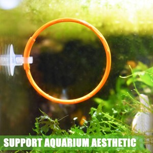 Olympic Ring for Betta Fish Trainning. 3D Printed Betta Excercise Loop ...