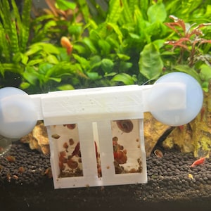 Snail Trap for Aquarium Pest Snails Catcher Overnight Leave - Etsy
