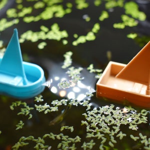 2 Mini Floating Sailboats for DIY Aquarium Project. Nano Floaters Décor ...