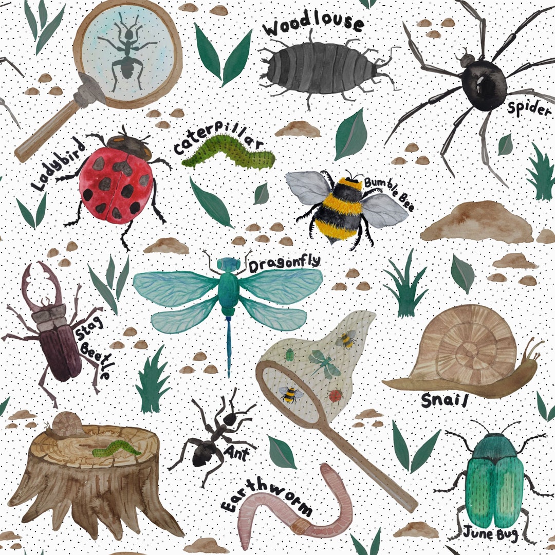 Bug Hunt - Complete Nursery Set. Minky Baby Blanket, Crib Sheet, Lovey ...