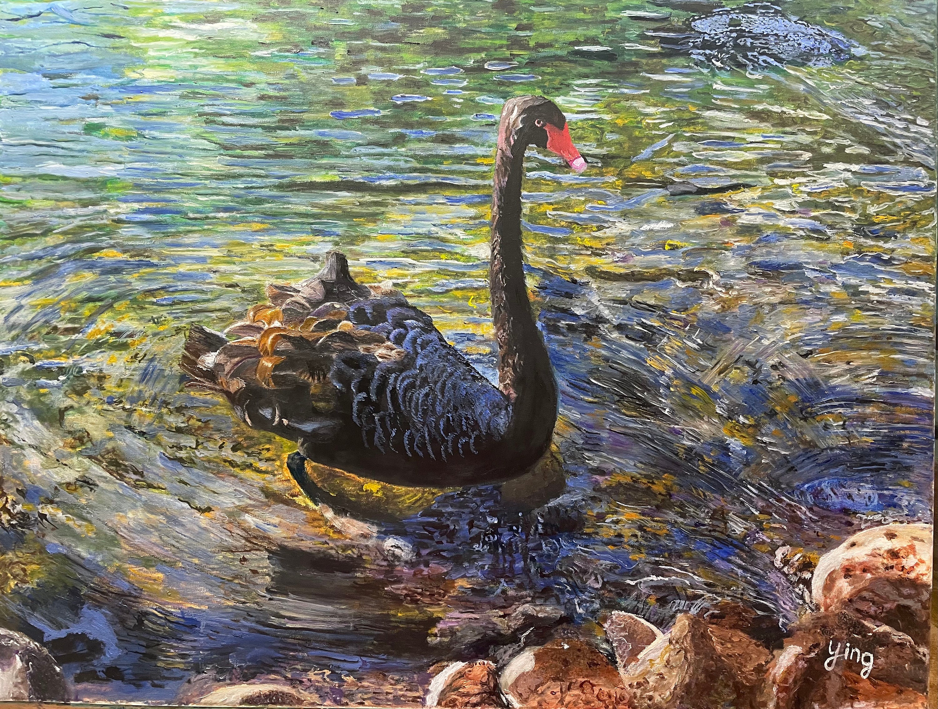 Black Swan Oil Painting