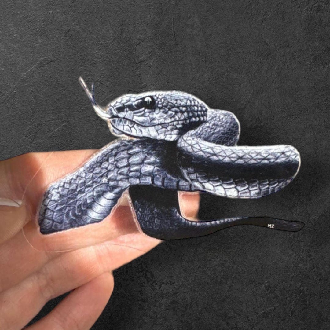 Rattlesnake Clear Sticker | Original Art Illustration | 3.5 IN | Free ...