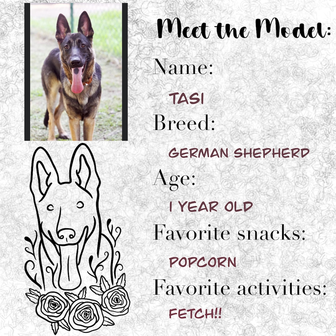 German Shepherd SVG / German Shepherd Cut File / Dog SVG / Dog - Etsy