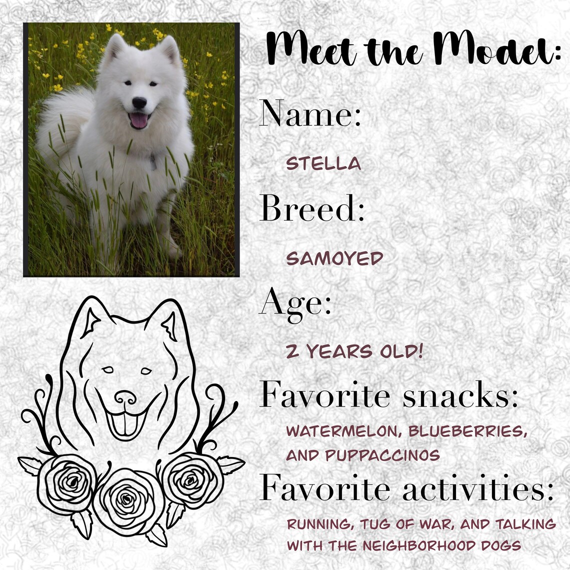 Samoyed SVG / Samoyed Cut File / Dog SVG / Dog Cut File / Samoyed ...