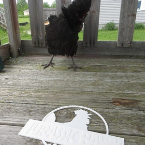 SUPPLY - UNFINISHED - 3D Printed "jurassic Bawk" Sign - Etsy