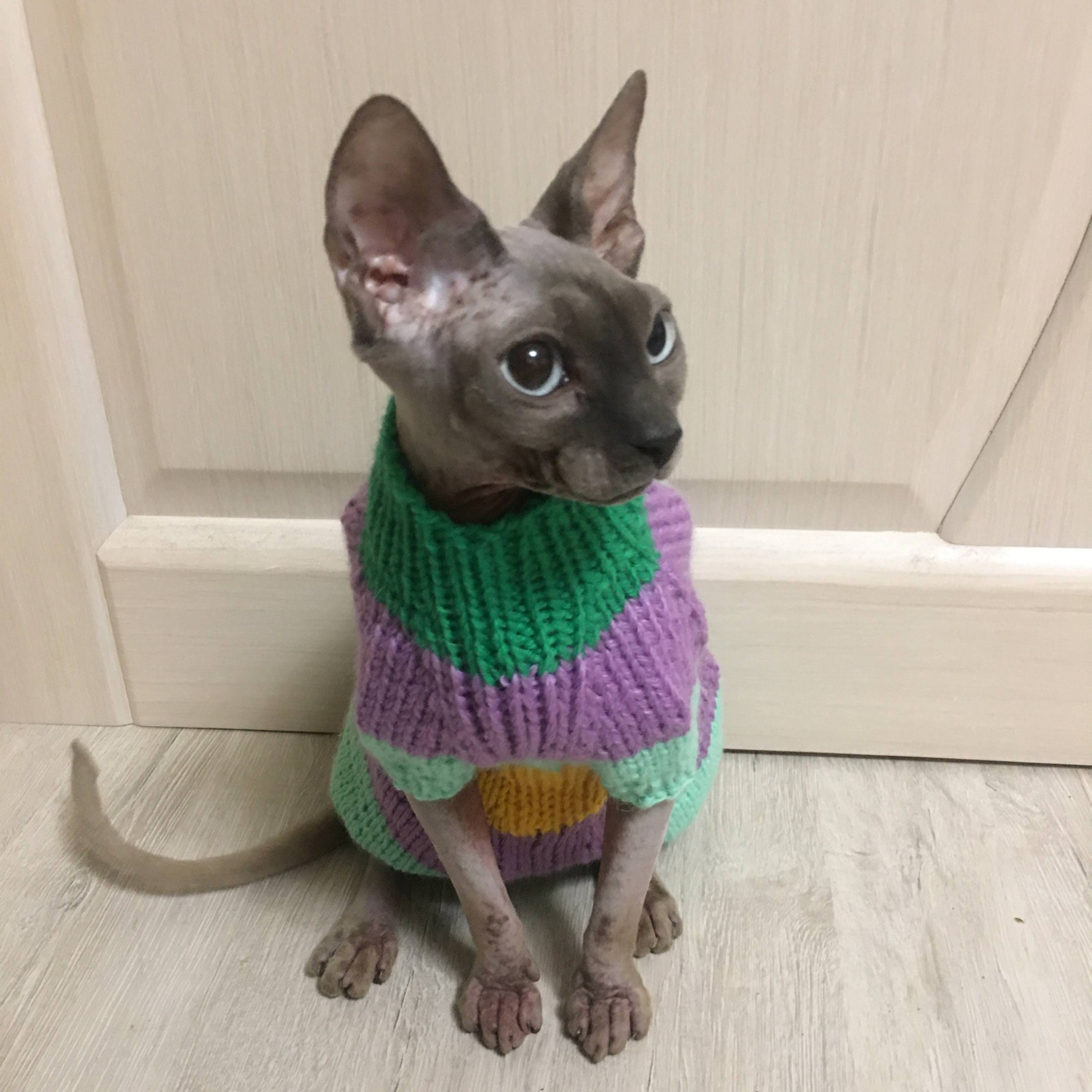 Ropa de gato ropa de gato un regalo para los amantes de los | Etsy