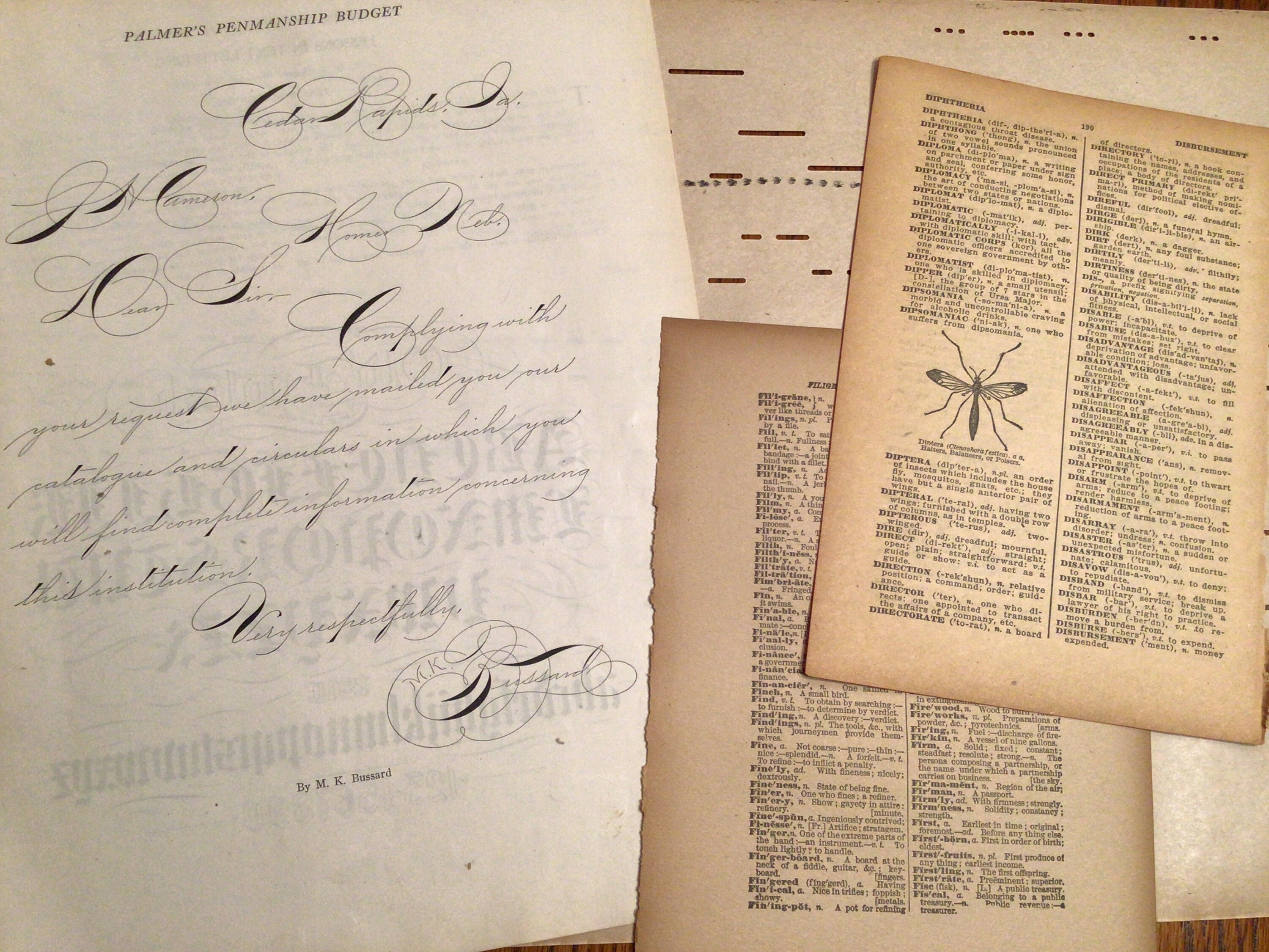 Vintage & Antique Neutral Paper Collage Bundle - Etsy