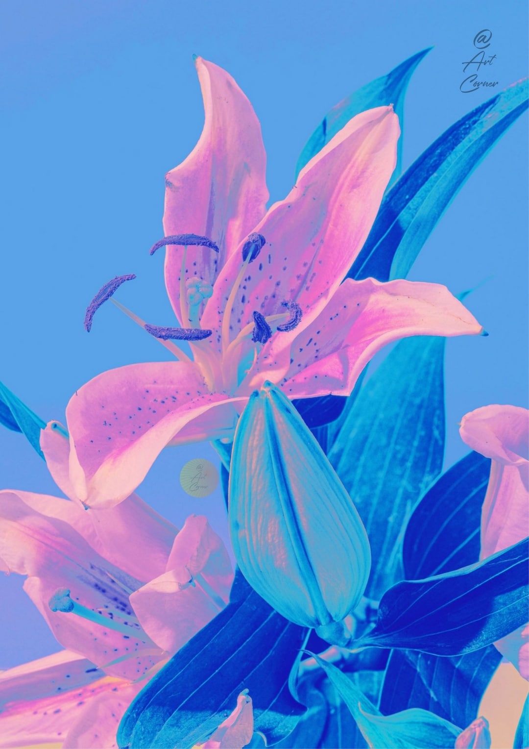 Pink Lily Flower Print, Lily Photo Printable, Pastel Flower Poster ...