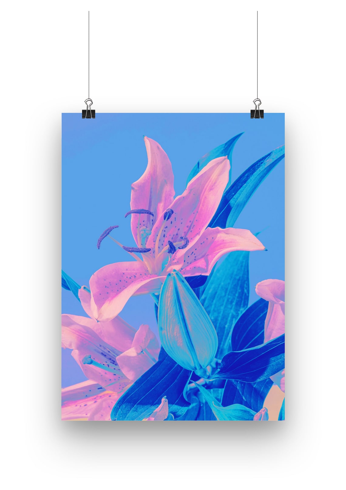 Pink Lily Flower Print, Lily Photo Printable, Pastel Flower Poster ...