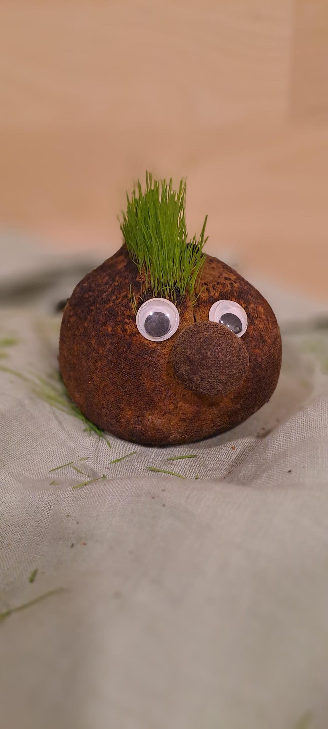 Baby Oliz, Grass Head Doll, Grass Pet for Kids, Kids Gardening ...