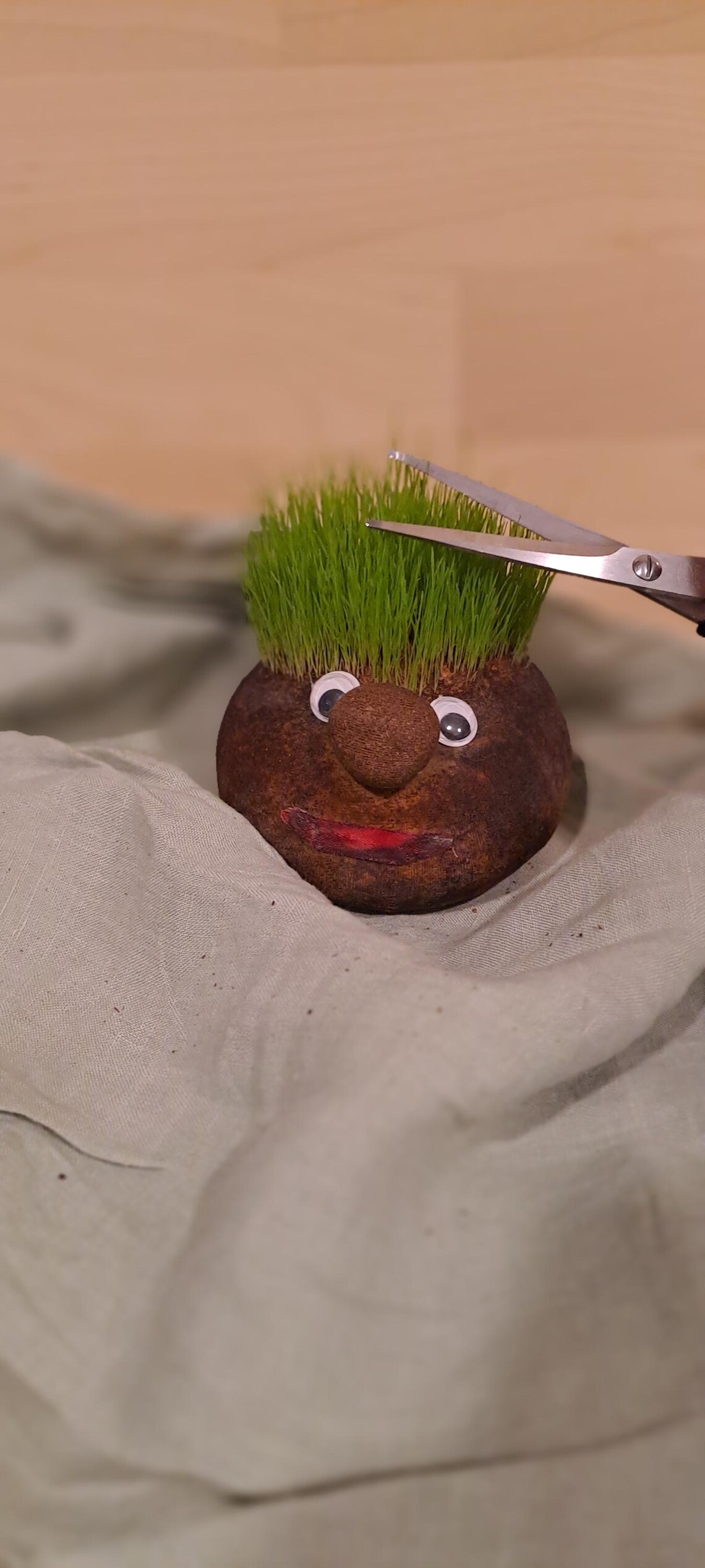 Mommy Oliz, Grass Head Doll, Grass Pet for Kids, Kids Gardening ...
