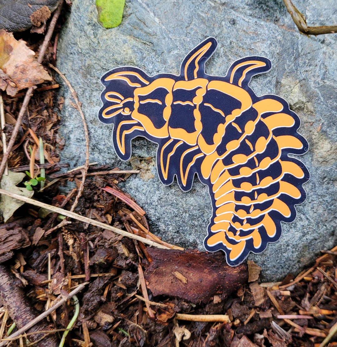 Sticker - Block Print Trilobite Beetle - Etsy