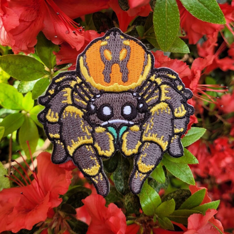 Spider Iron on Patch - Etsy