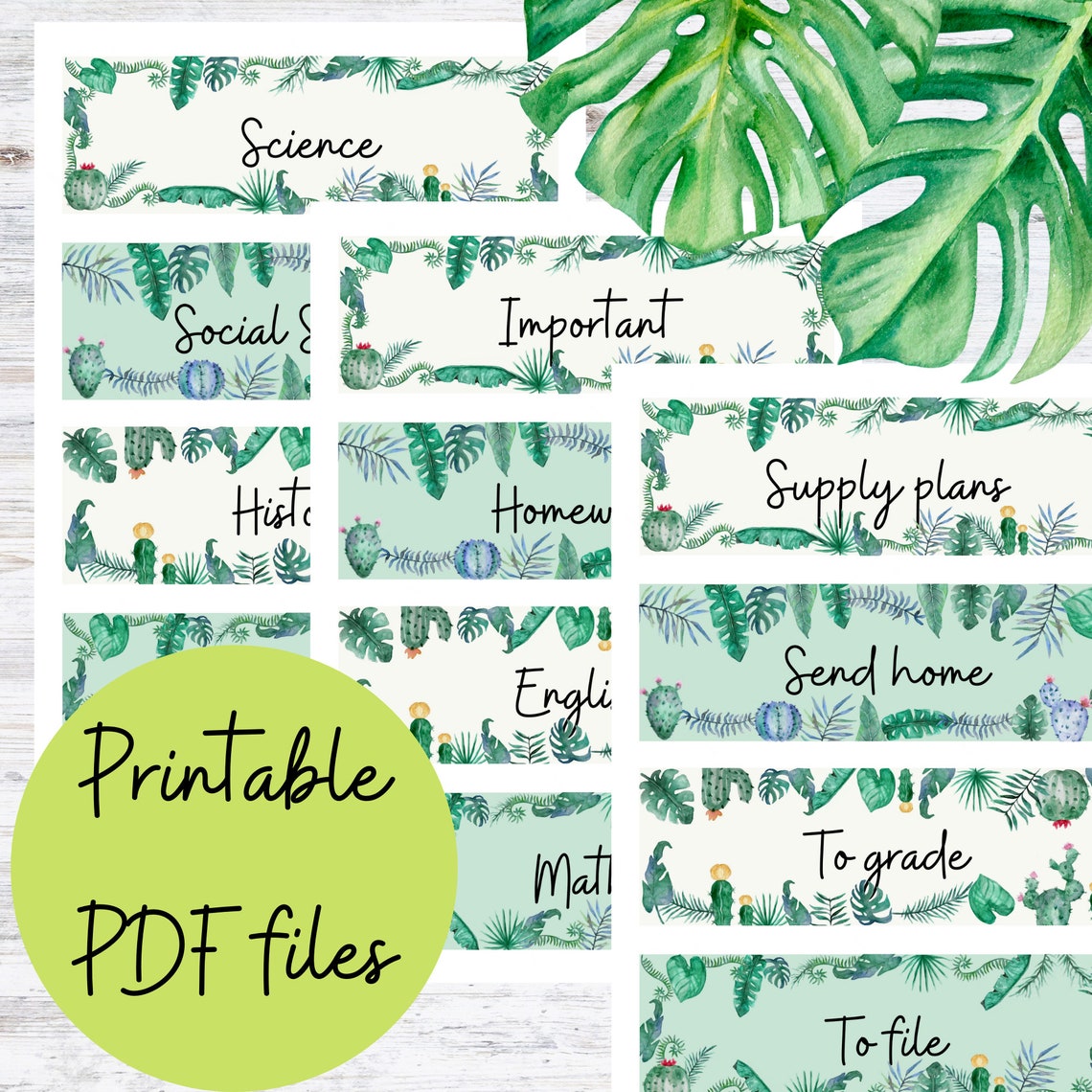 Jungle Classroom Decor Printable Digital Download | Etsy