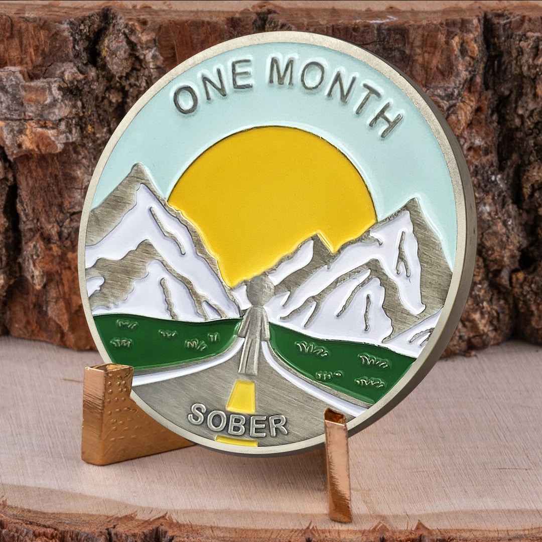 1-12 Months Sobriety Coin AA Chips Travel Medallions Alcoholics ...
