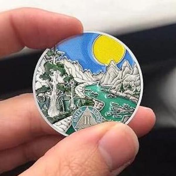 9 Month Sobriety Coins - Etsy