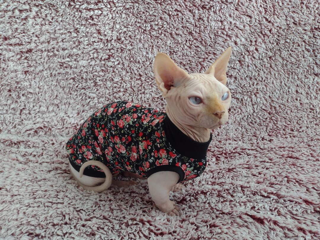 Sphynx Cat Clothes, Bambino Cat Clothes, Cat Clothes, Hairless Cat ...