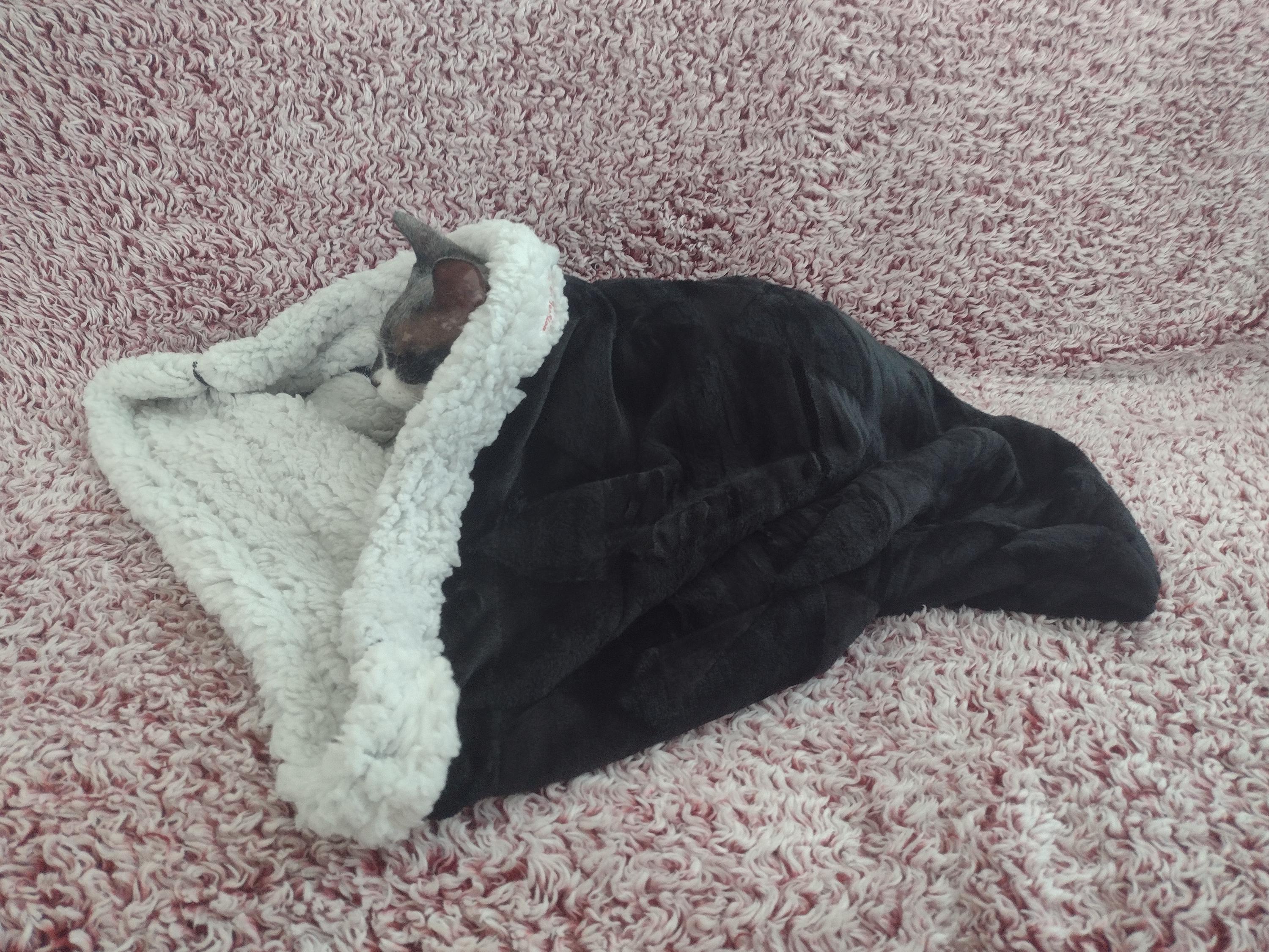 Snuggle Bed, Cat Sleep Sack, Sleeping Bag, Pet Sleeping Bag, Pet ...
