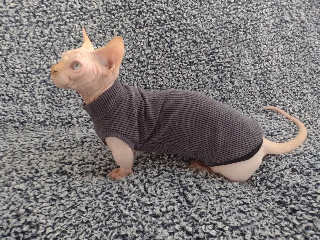 Sphynx Cat Clothes, Bambino Clothes, Sphynx Sweater, Hairless Cat ...