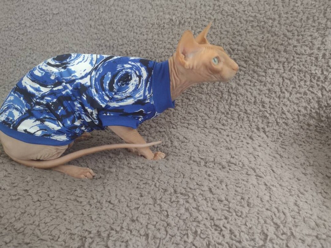 Sphynx Cat Clothes, Bambino Sphynx Clothes, Sphynx Sweater, Sphynx ...
