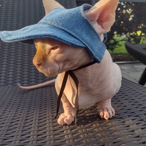 Sphynx Cat Hat, Bambino Sphynx Hat,denim Sphynx Cat Hat, Sphynx Hat ...