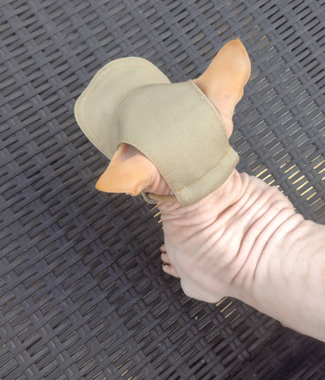 Sphynx Cat Hat, Bambino Sphynx Hat, Hat for Sphynx, Hairless Cat Hat ...