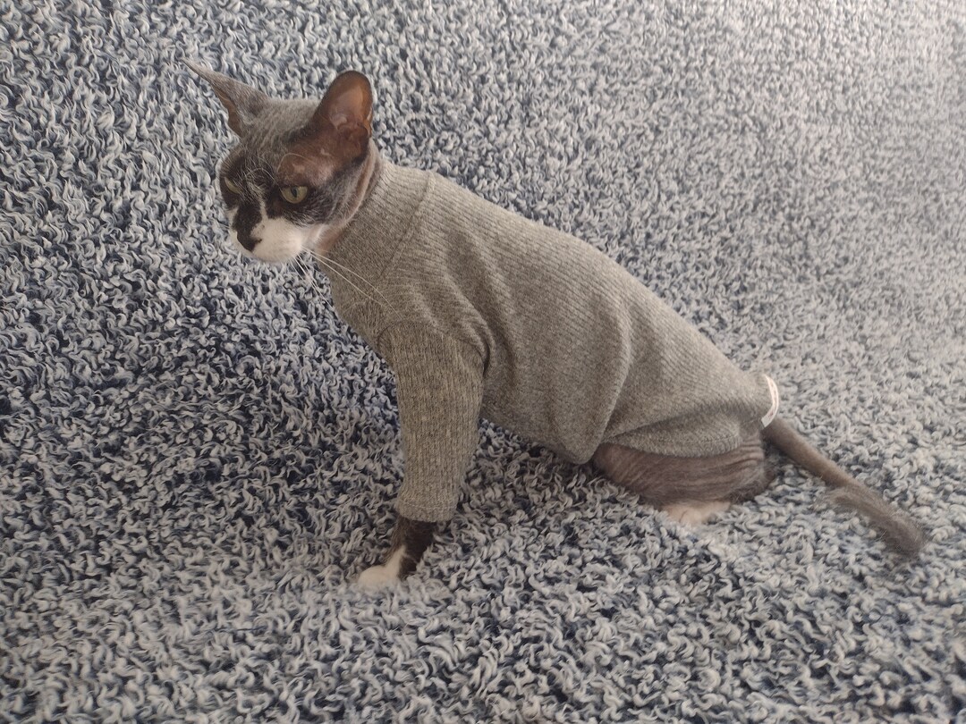 Sphynx Cat Clothes, Long Sleeves Sweater, Hairless Cat Clothes, Sphynx ...