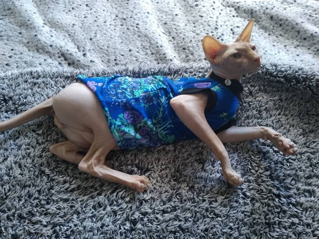 Sphynx Cat Clothes, Bambino Sphynx Clothes, Sphynx Cat Shirt, Sphynx ...