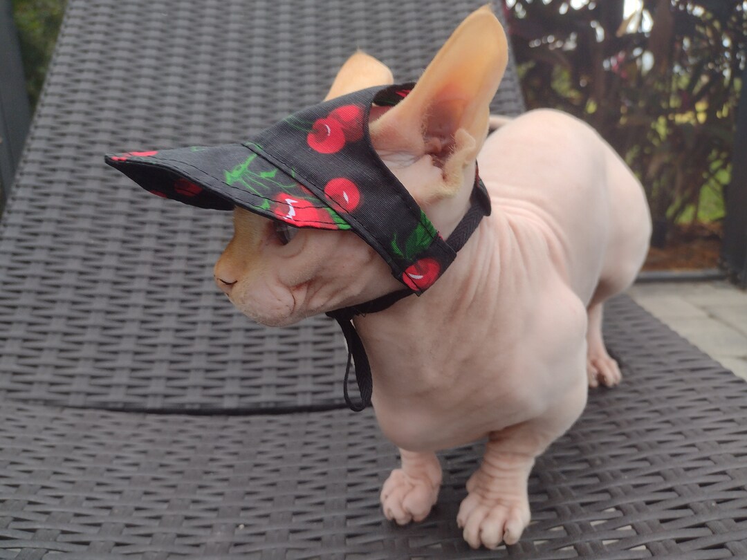Sphynx Cat Hat, Bambino Cat Hat, Sphynx Summer Hat, Sphynx Hat, Bambino ...